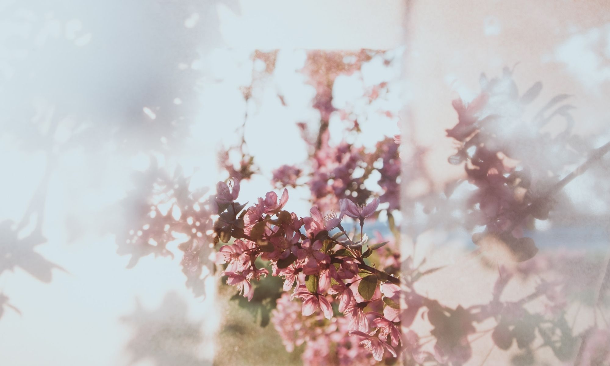 27 Beauty Secret Tips And Tricks You Need To Know - Love, Sofie